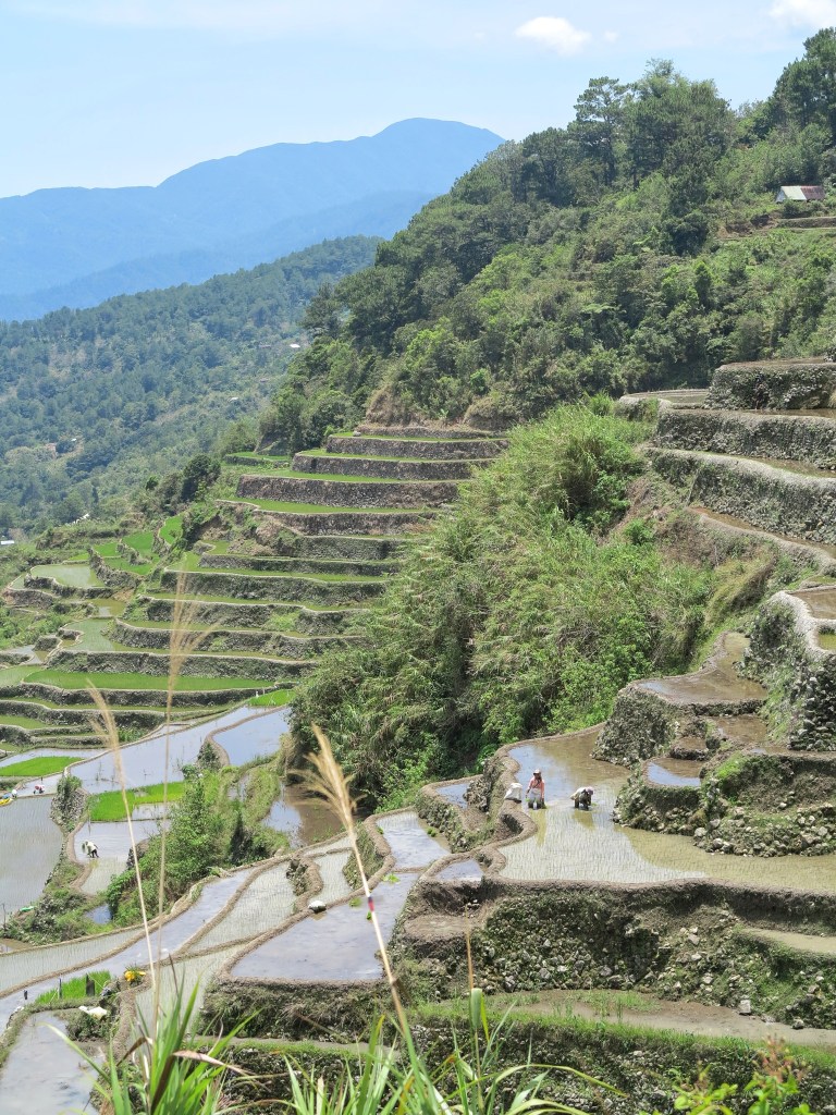 Exploring Mountain Province: Maligcong, Bontoc and Sagada – K.O. the ...