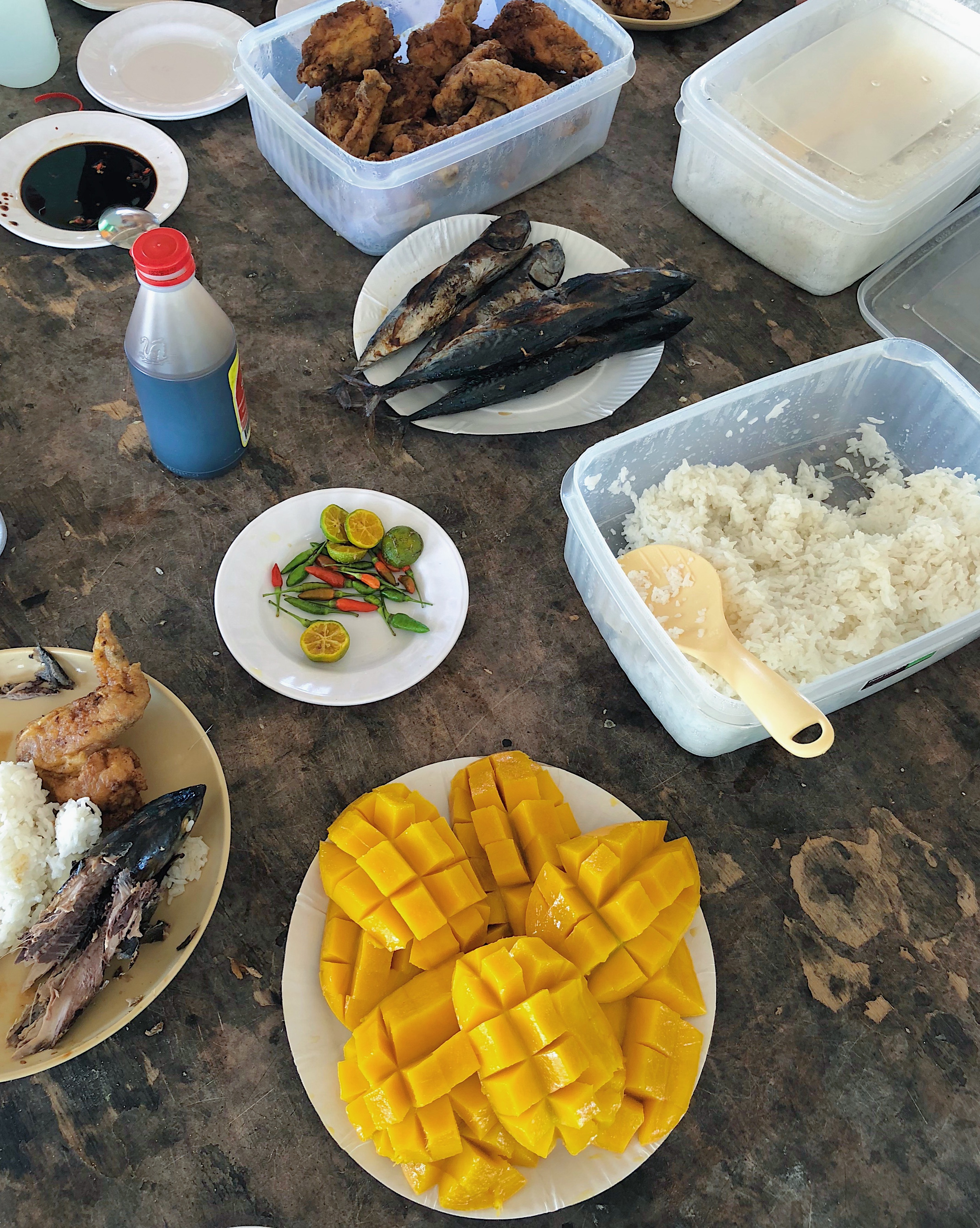Exploring PANAMPANGAN ISLAND: Home of the Longest Sandbar in the ...