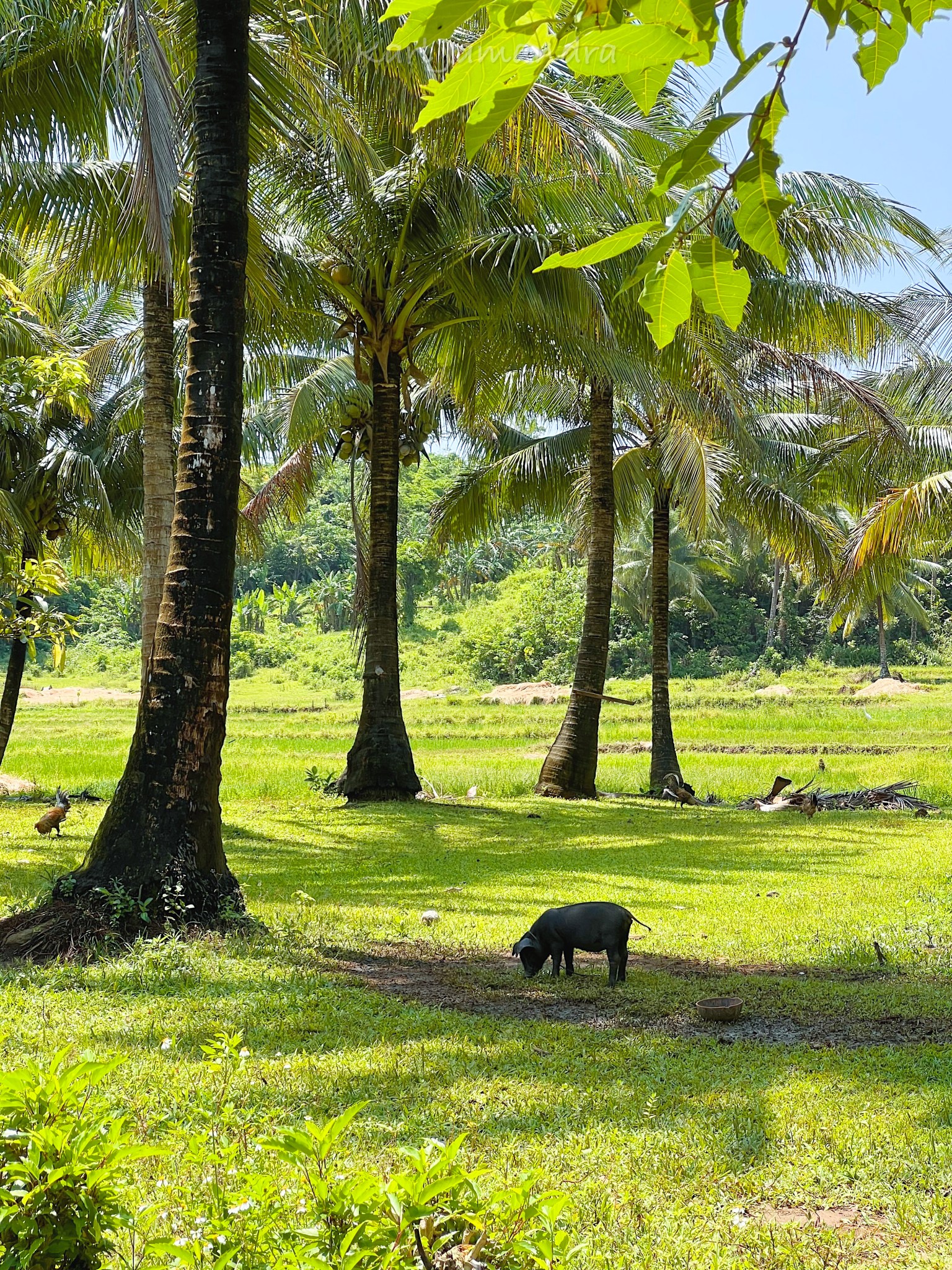 Exploring PALANAN: Isabela’s Hidden Paradise – K.O. the Explorer
