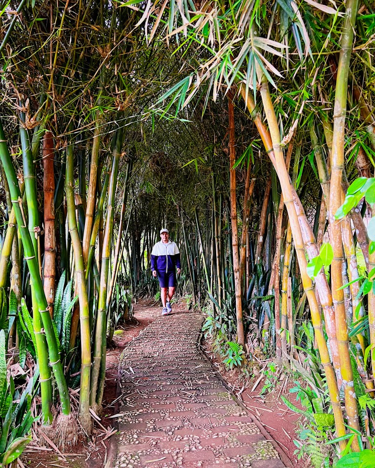 Exploring DIGOS, DAVAO DEL SUR: Home of Mt. Apo – K.O. the Explorer