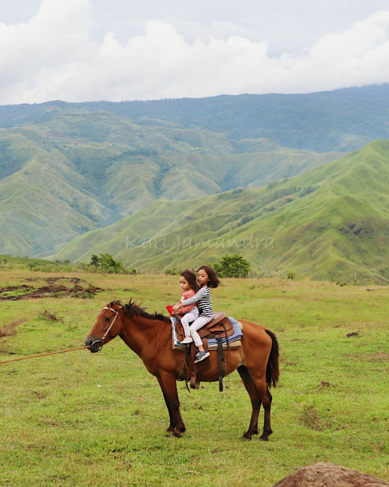 Exploring BUKIDNON’s Communal Ranch: The Only State-Owned Ranch in the ...