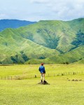 Exploring BUKIDNON’s Communal Ranch: The Only State-Owned Ranch in the ...