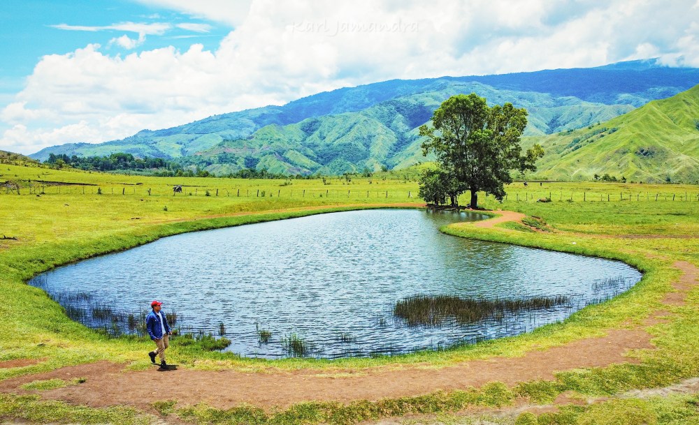 Exploring BUKIDNON’s Communal Ranch: The Only State-Owned Ranch in the ...