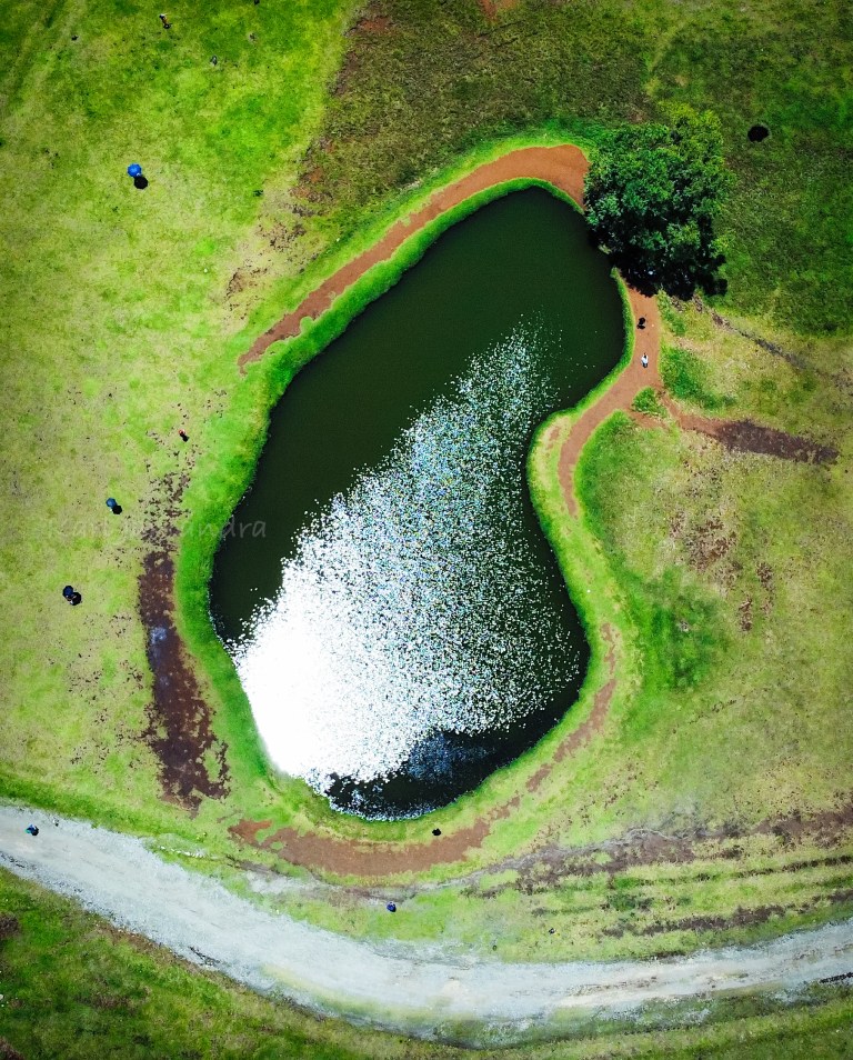 Exploring BUKIDNON’s Communal Ranch: The Only State-Owned Ranch in the ...