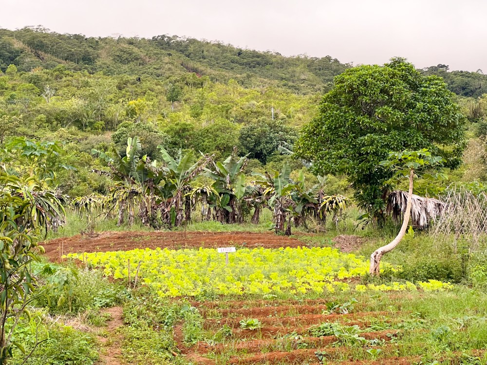 Exploring ADAMS: The Charming and Beautiful Town in the Mountains of ...