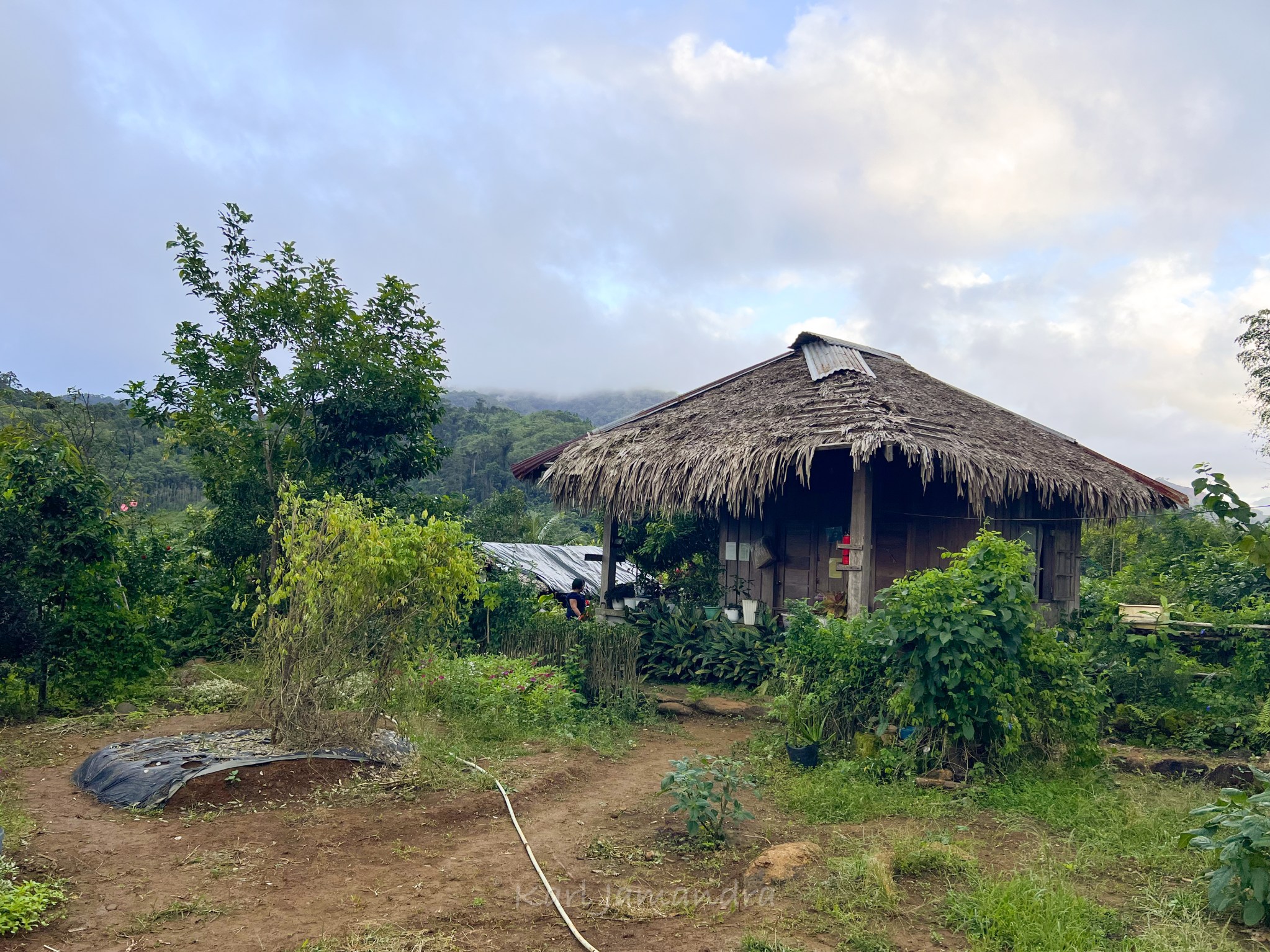 Exploring ADAMS: The Charming and Beautiful Town in the Mountains of ...